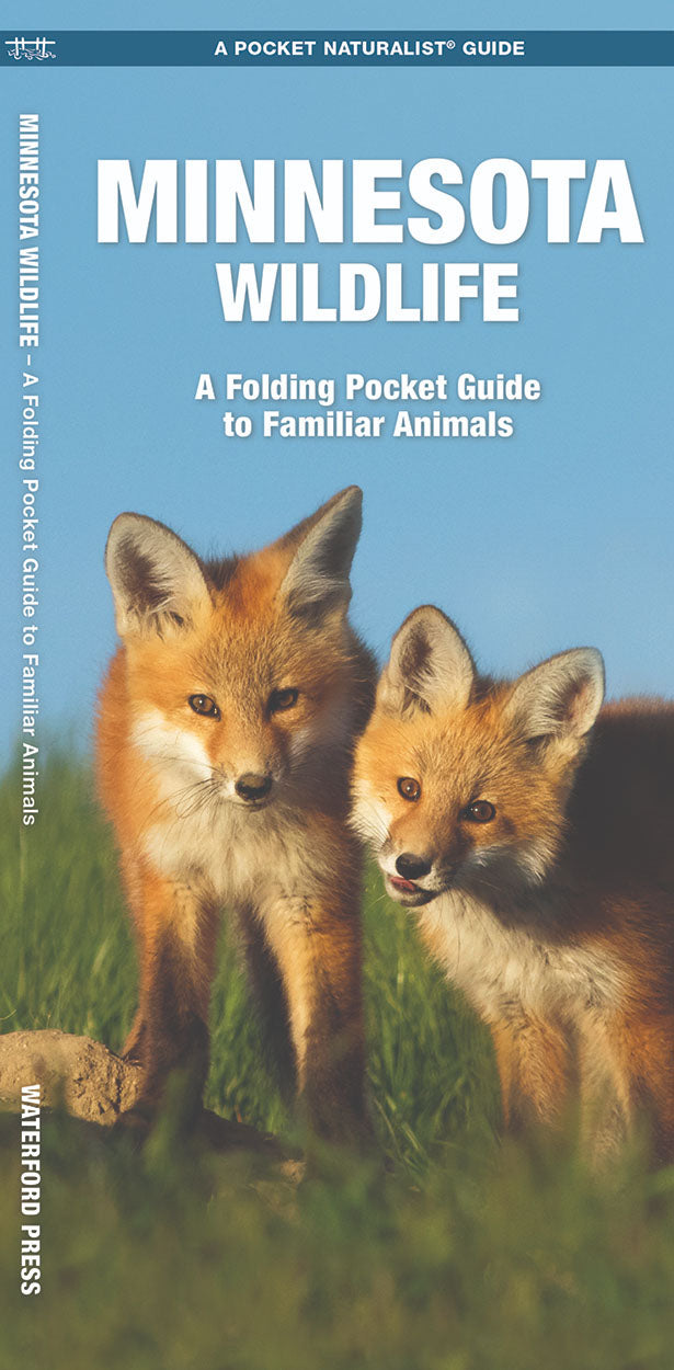 Minnesota Wildlife Pocket Guide – Birds Choice