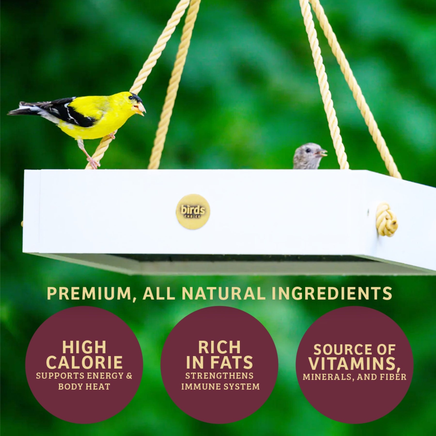 Bugs & Nuts Seed Cake – Birds Choice