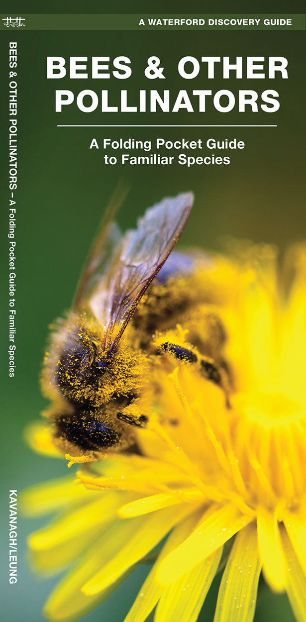 Bees & Other Pollinators Pocket Guide – Birds Choice
