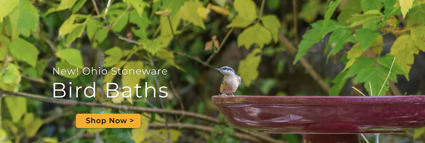 Birds Choice | Bird Feeders, Bird Houses, Bird Food & More