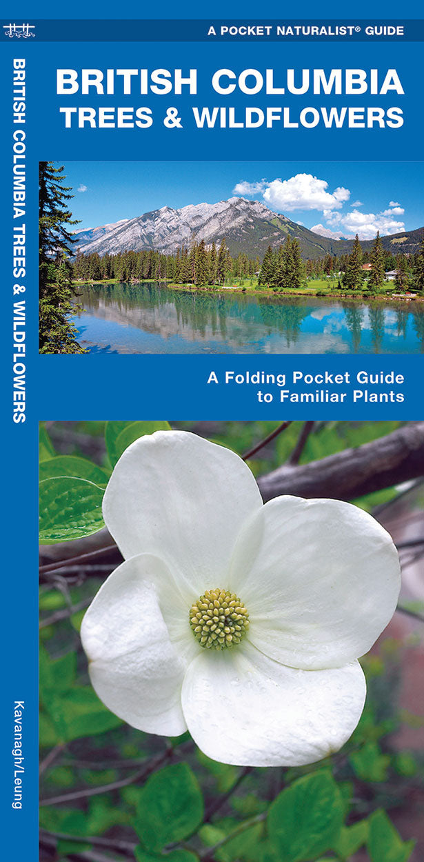 British Columbia Trees & Wildflowers – Birds Choice