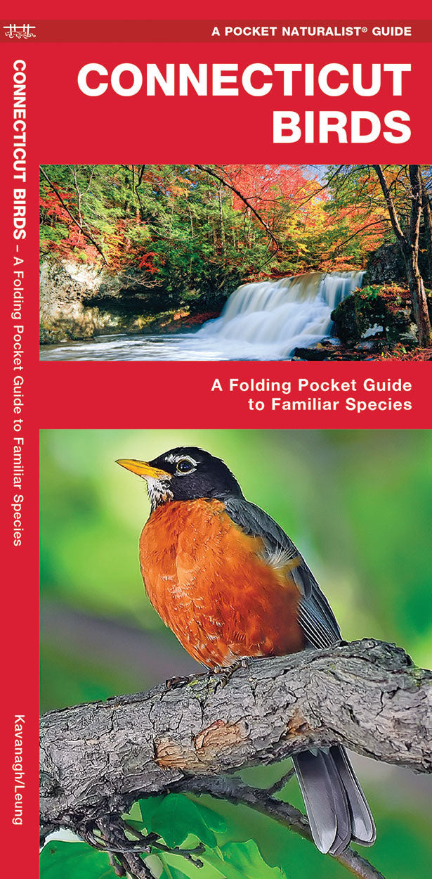Connecticut Birds Pocket Guide – Birds Choice