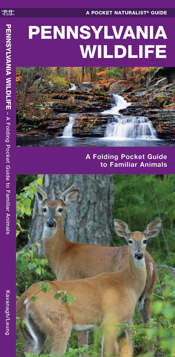 Pennsylvania Wildlife Pocket Guide – Birds Choice