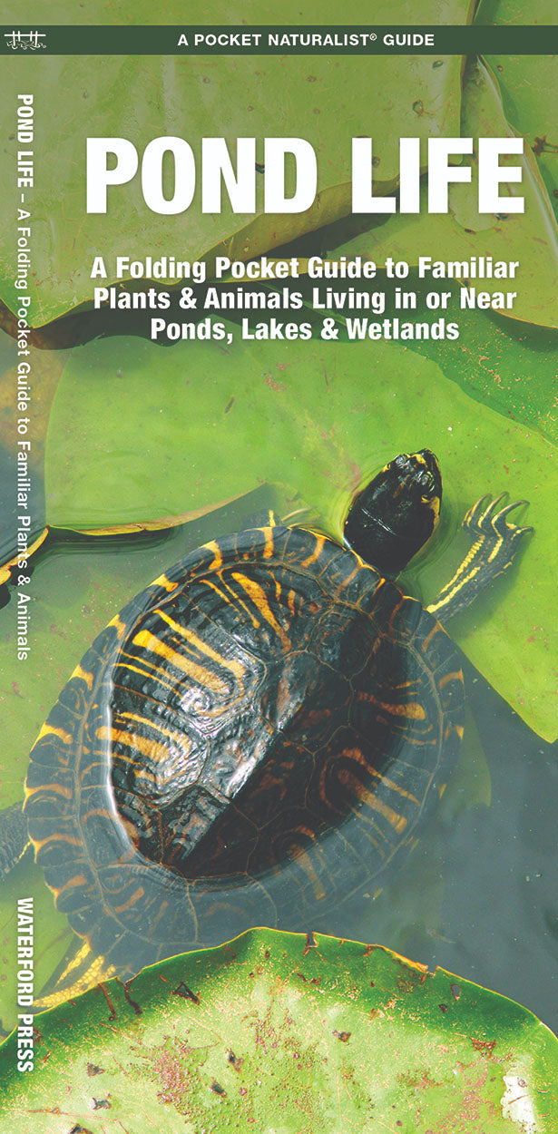 Pond Life Pond Connections NMDGF