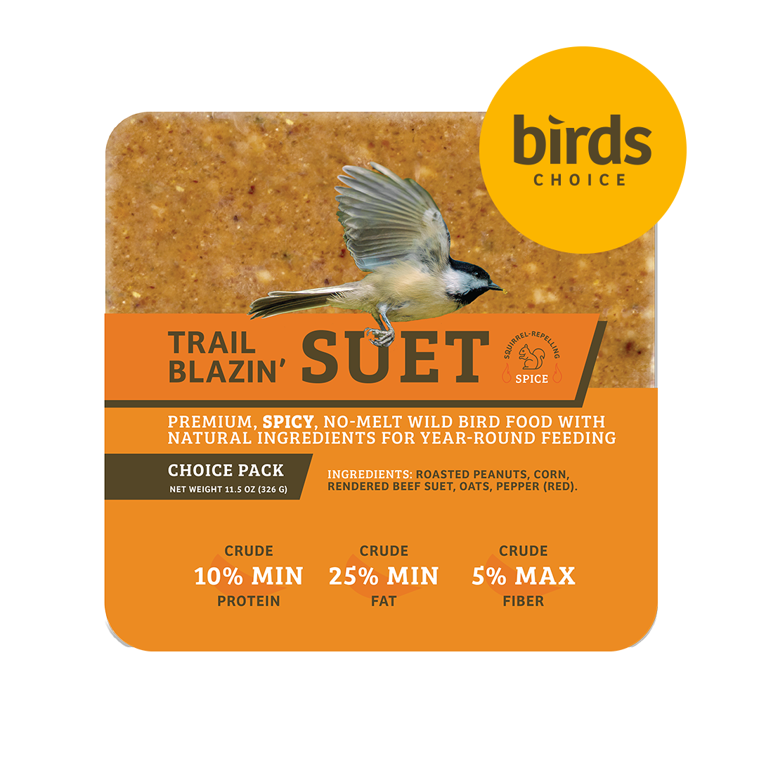 Hot Red Pepper No Melt Suet – Birds Choice