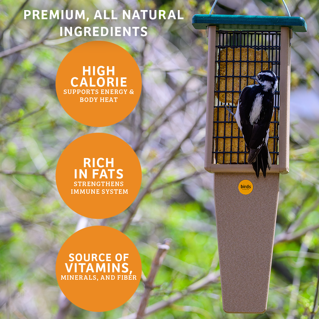 Hot Red Pepper No Melt Suet - 12 Pack – Birds Choice