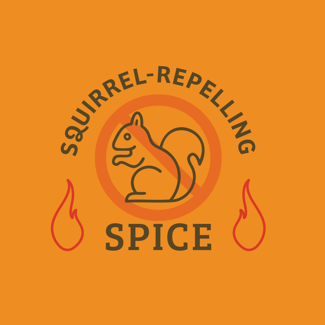 Hot Red Pepper No Melt Suet - 12 Pack – Birds Choice