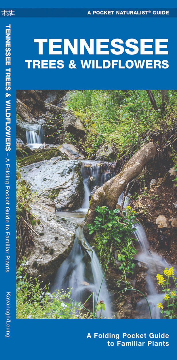 Tennessee Trees & Wildflowers Pocket Guide – Birds Choice