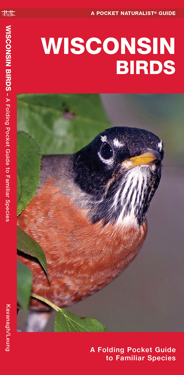 Wisconsin Birds Pocket Guide – Birds Choice